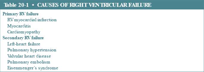 Acute Right Ventricular Failure Complicating Myocardial Infarction Case ...