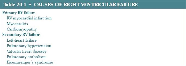 Acute Right Ventricular Failure Complicating Myocardial Infarction Case ...