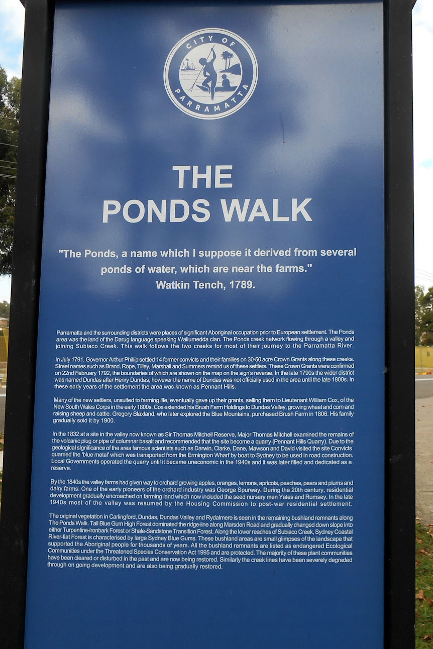 The Ponds Walk revisited | Our Walks