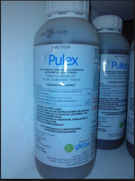 PULEX