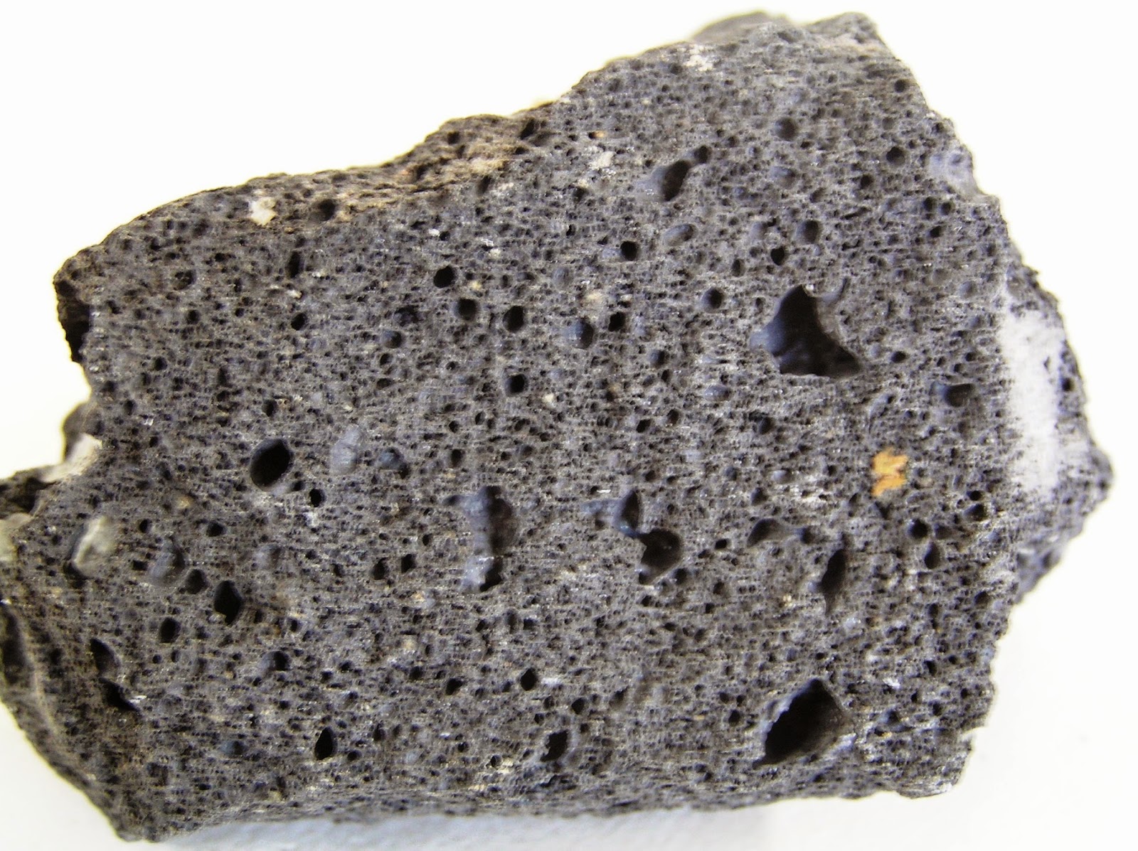 BLOG DEL ÁREA DE BIOLOGÍA Y GEOLOGÍA DE 4º ESO DEL IES MIGUEL CRESPO ...