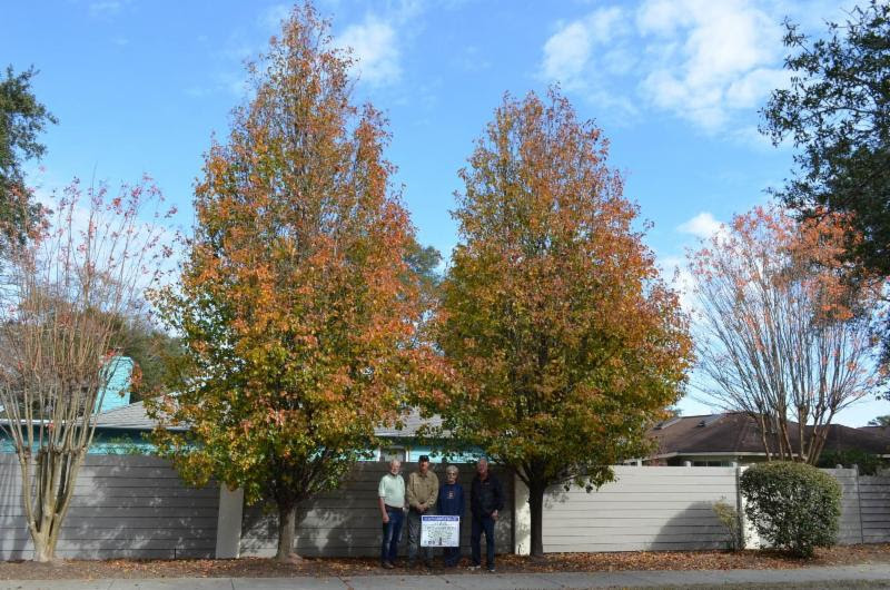 CENTURY21 Thomas - Real Estate Blog: North Myrtle Beach Tree City Board ...