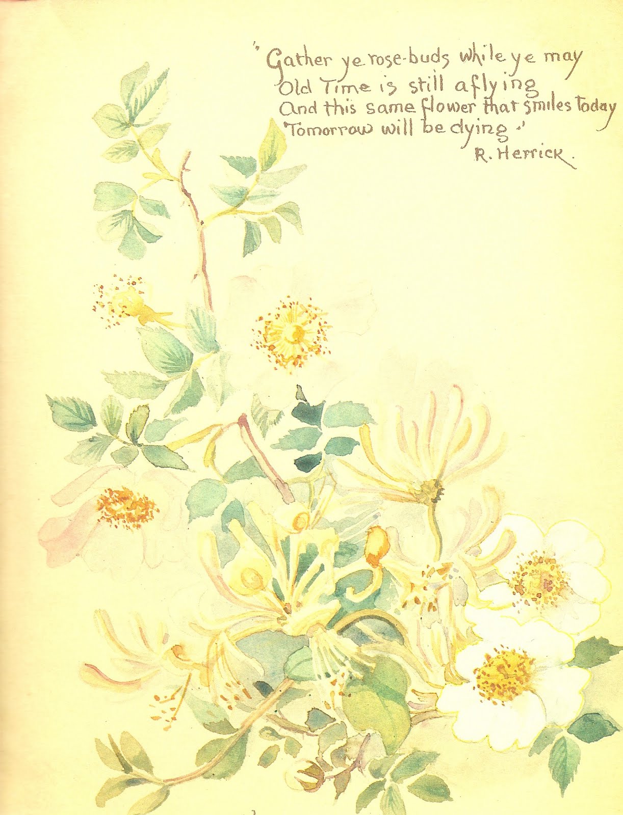 1000+ images about Edith Holden art on Pinterest | Edith holden, Diary ...