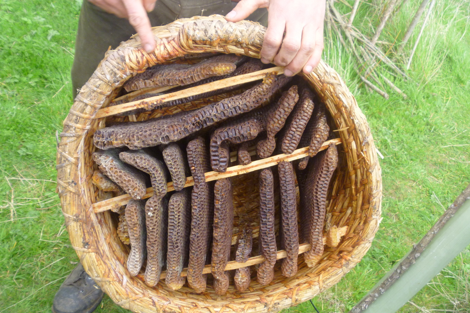 Yatton Area Bee Project - YABeeP: Skep Making Course