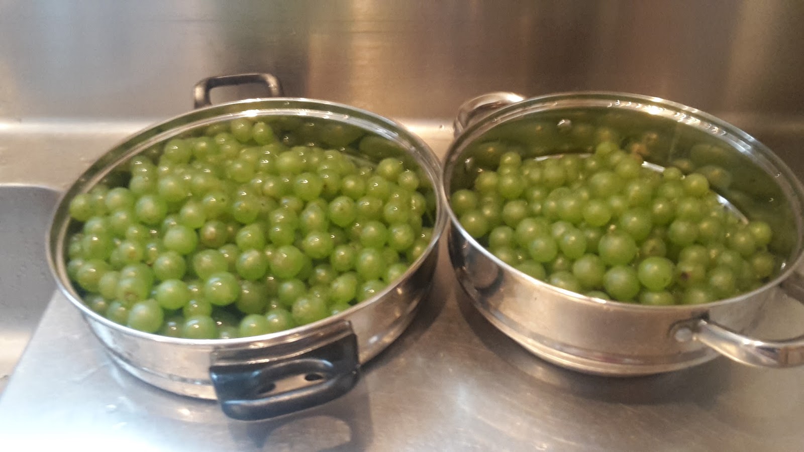 Crockpot Grape Juice Cordial/Concentrate