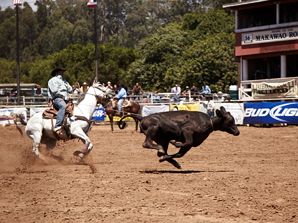 Let It Burn - Tbyrd Photography: Pics from a rodeo in Maui, Hawaii