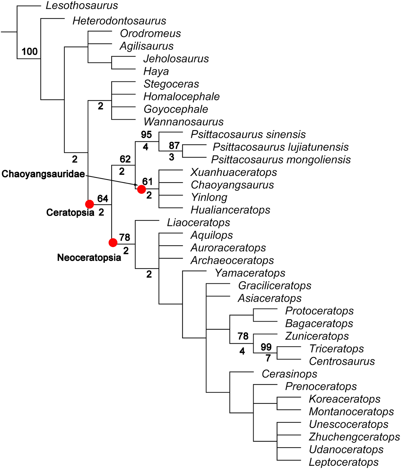 The Dragon's Tales: Hualianceratops wucaiwanensis: a new Basal ...