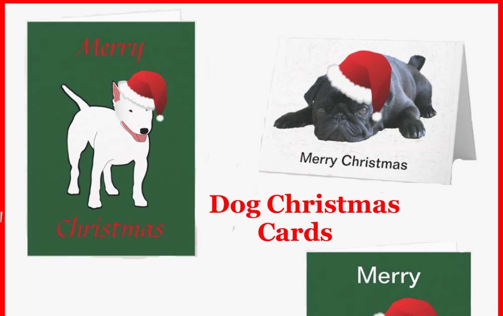 Dog Christmas Cards