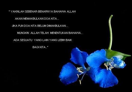 Syed Roslan Jaafar: PERGI MENUJU REDHA ALLAH...