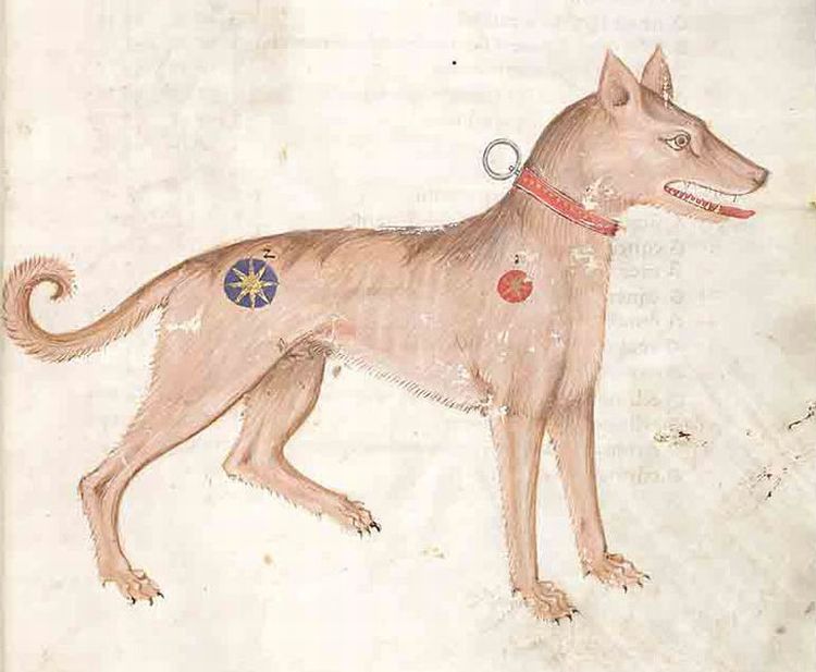 Grymvald Gazetteer: Setting & Society Sunday - Medieval Pets