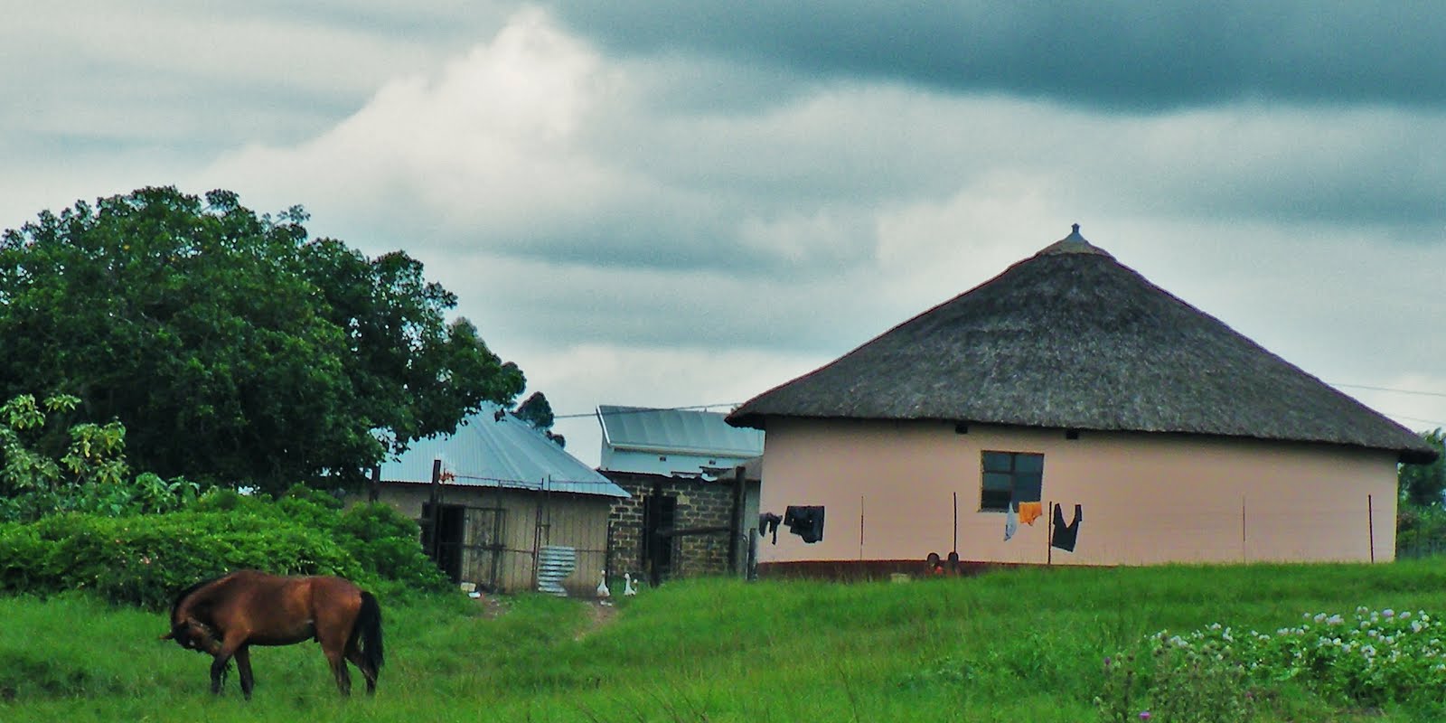 Go with Henry: The South African outback: Bizana in Transkei