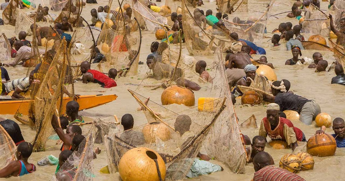 Awe Olufunso: Nigerian Tradition: Argungu Fishing Festival ( Largest ...