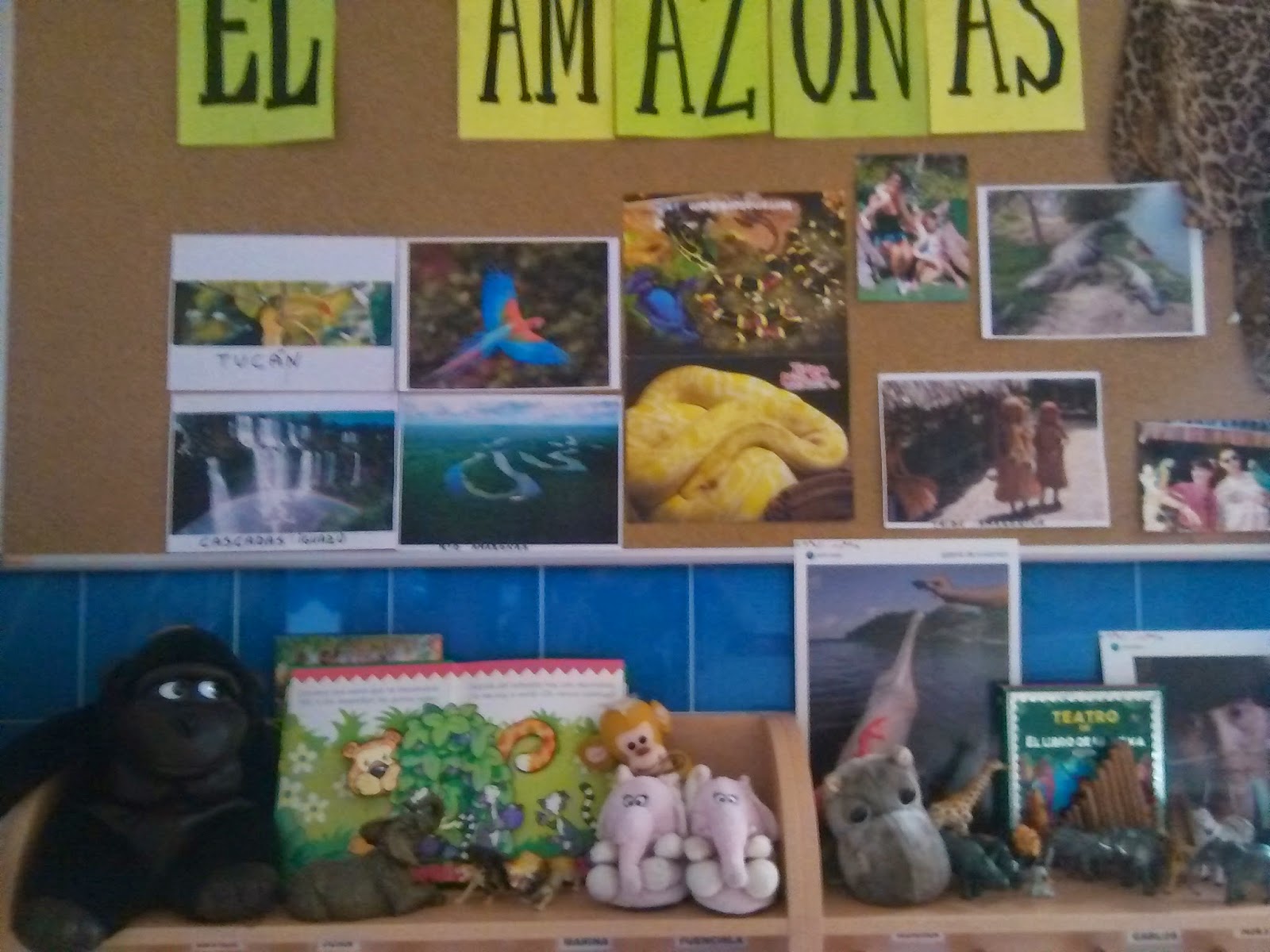 Paso a paso por Infantil: LA SELVA AMAZÓNICA