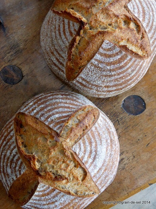 Grain de Sel - Salzkorn - Foodblog für vegetarische und Vegane Rezepte ...