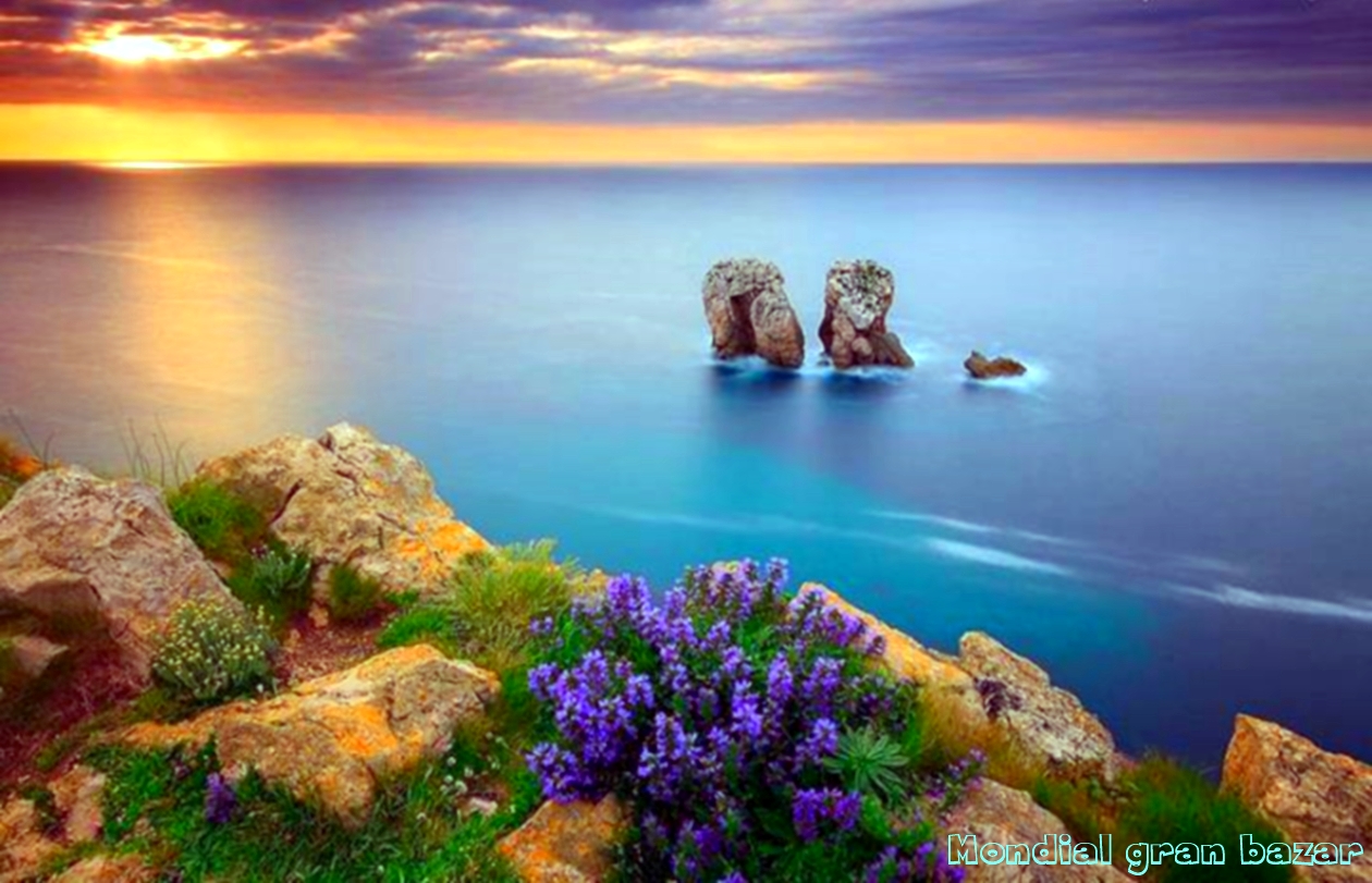 LA VERITA' E' CORAGGIO: 34 Bellissime immagini tratte dalla pagina ...