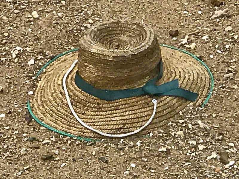 Ryukyu Life: Wordless Wednesday: Homeless Hat