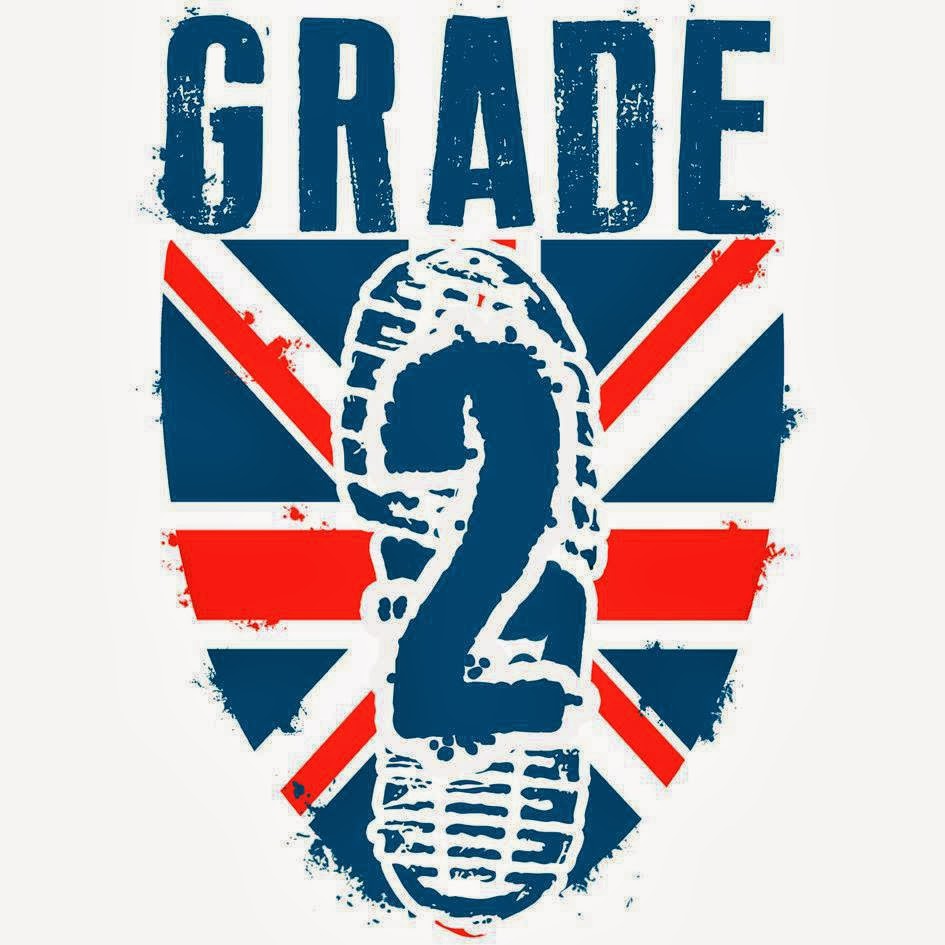 SkinS: Grade 2 +Demo+