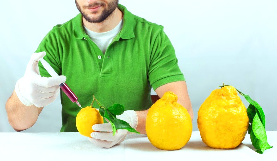 Curiosidades&Loucuras: OGM tudo o que você precisa saber!!