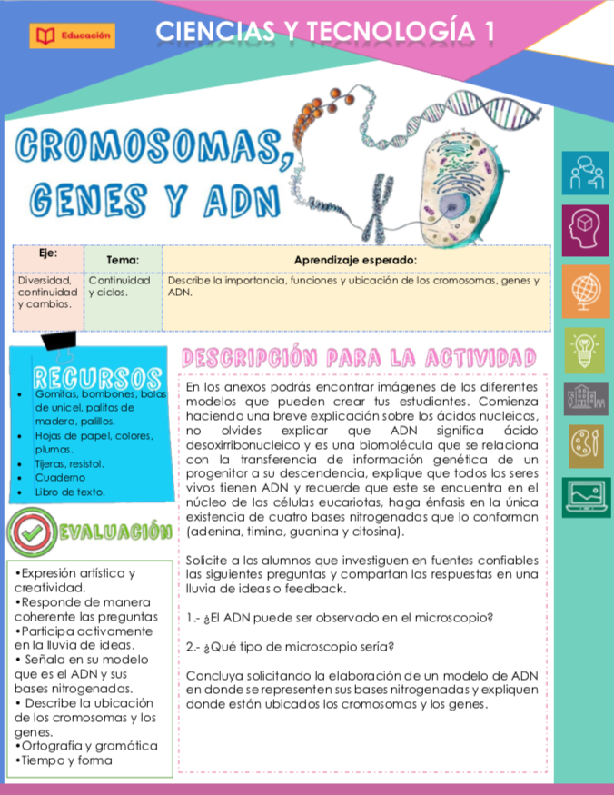 El Aprendizaje Esperado, la pauta para la creación de actividades: Actividad ''Cromosomas, genes ...