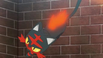 Poké-Arquivo: 725 - Litten ~ Pokémonster Dex || Acervo de Imagens de ...