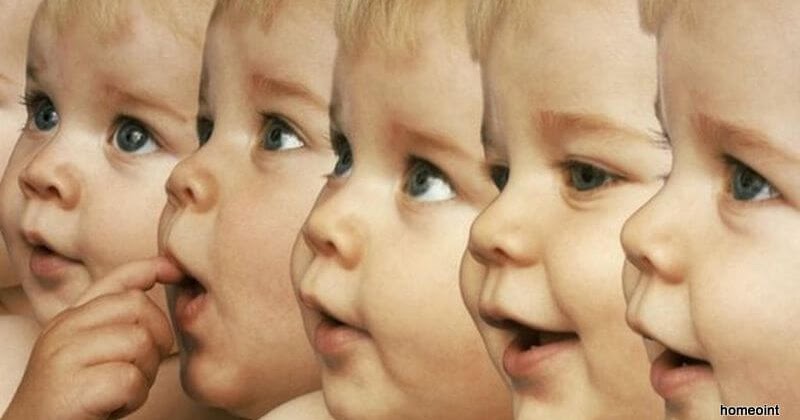 How Human Cloning Work Part 1 - homeOint