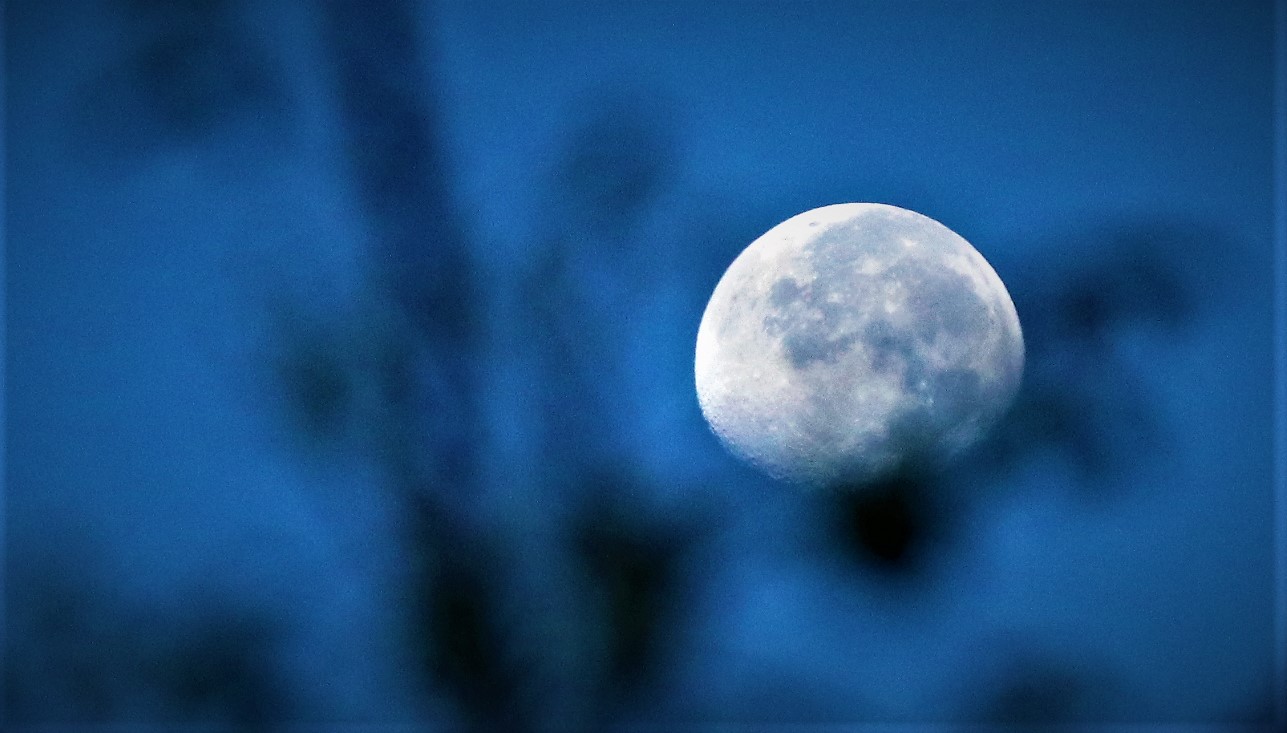 The Moon in the morning...