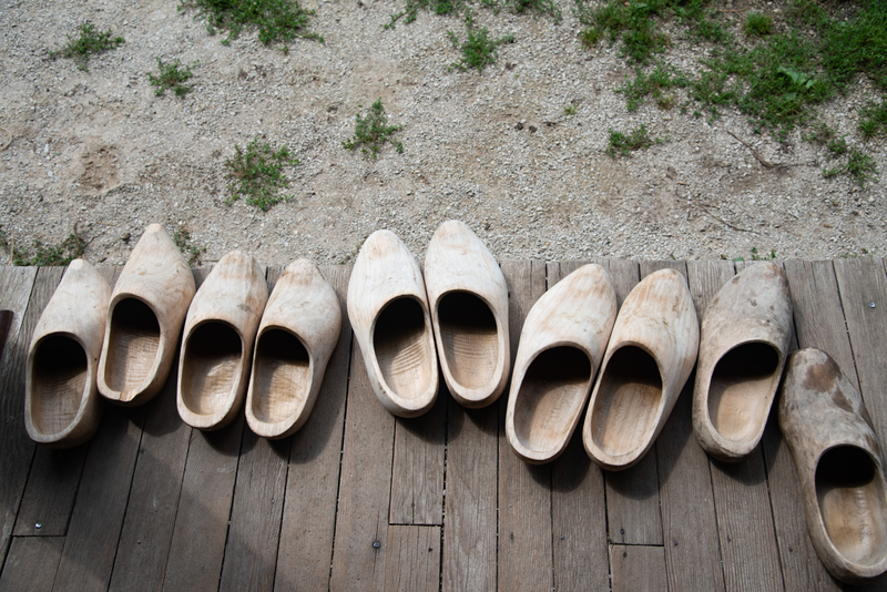 A Wandering Botanist: Lessons from Travel -- Wooden Shoes