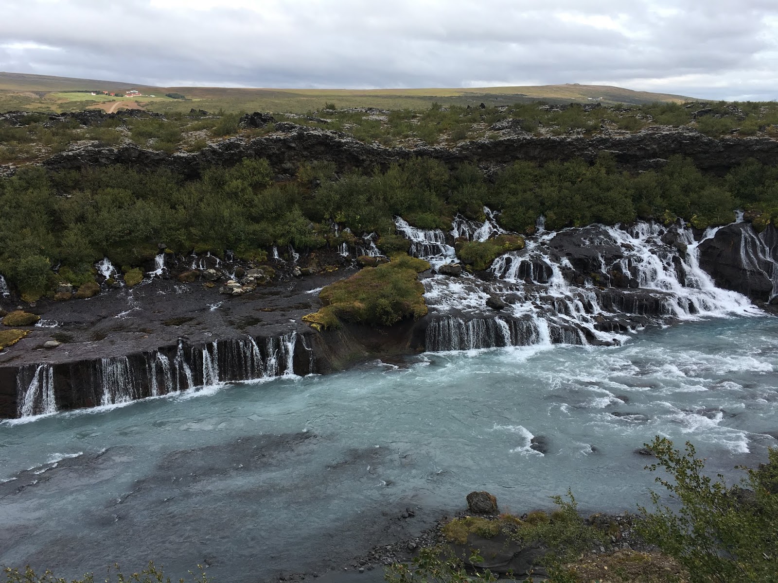 Em's Bench: Iceland Ecosystems and Fieldwork