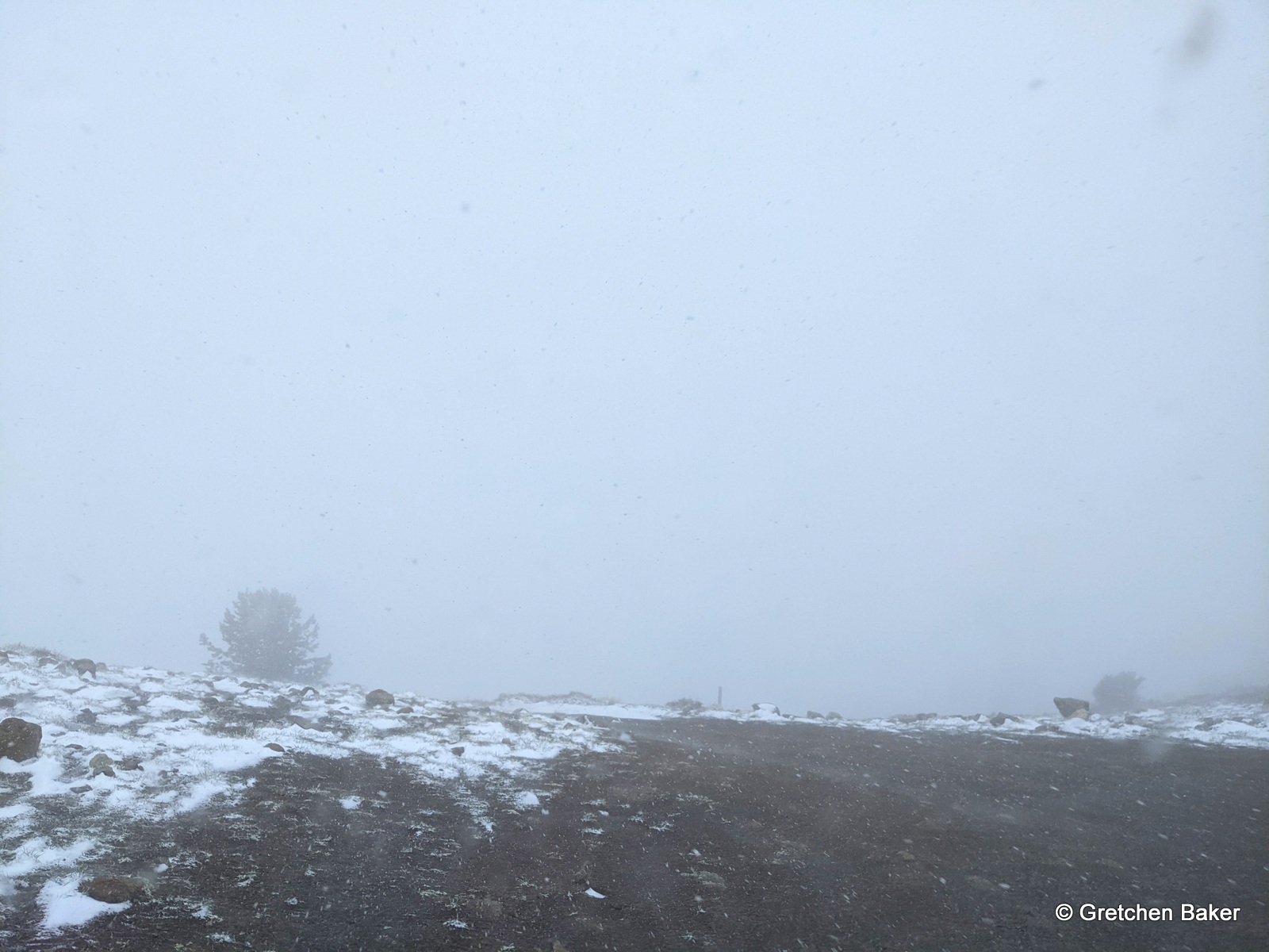 Desert Survivor: Kalamazoo Road, White Pine County, Nevada