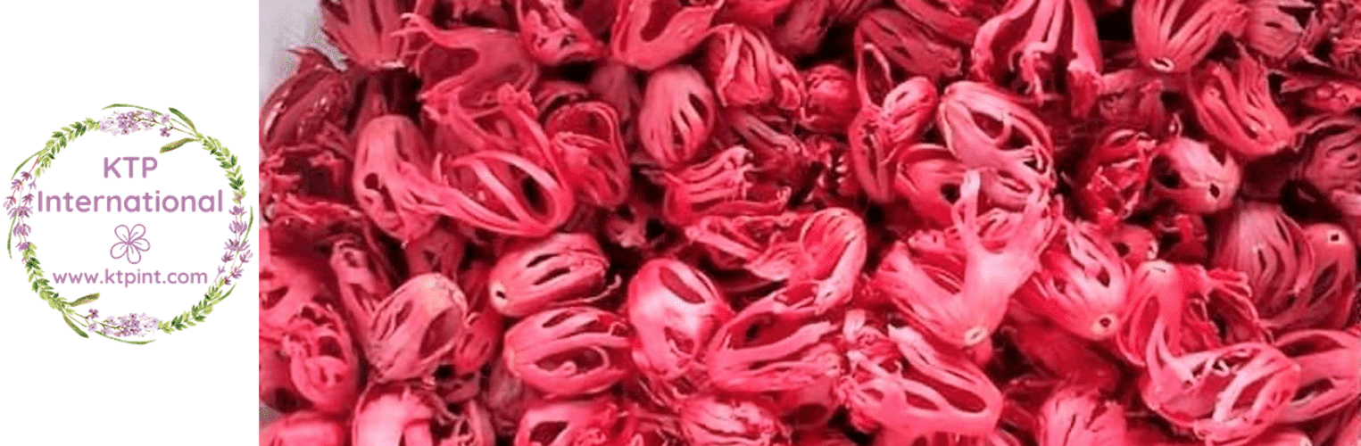 Mace Flower (Javitri) | KTP International, India