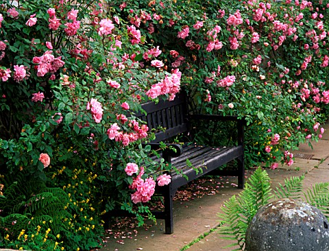 Hydrangea Hill Cottage: Cottage Garden Benches