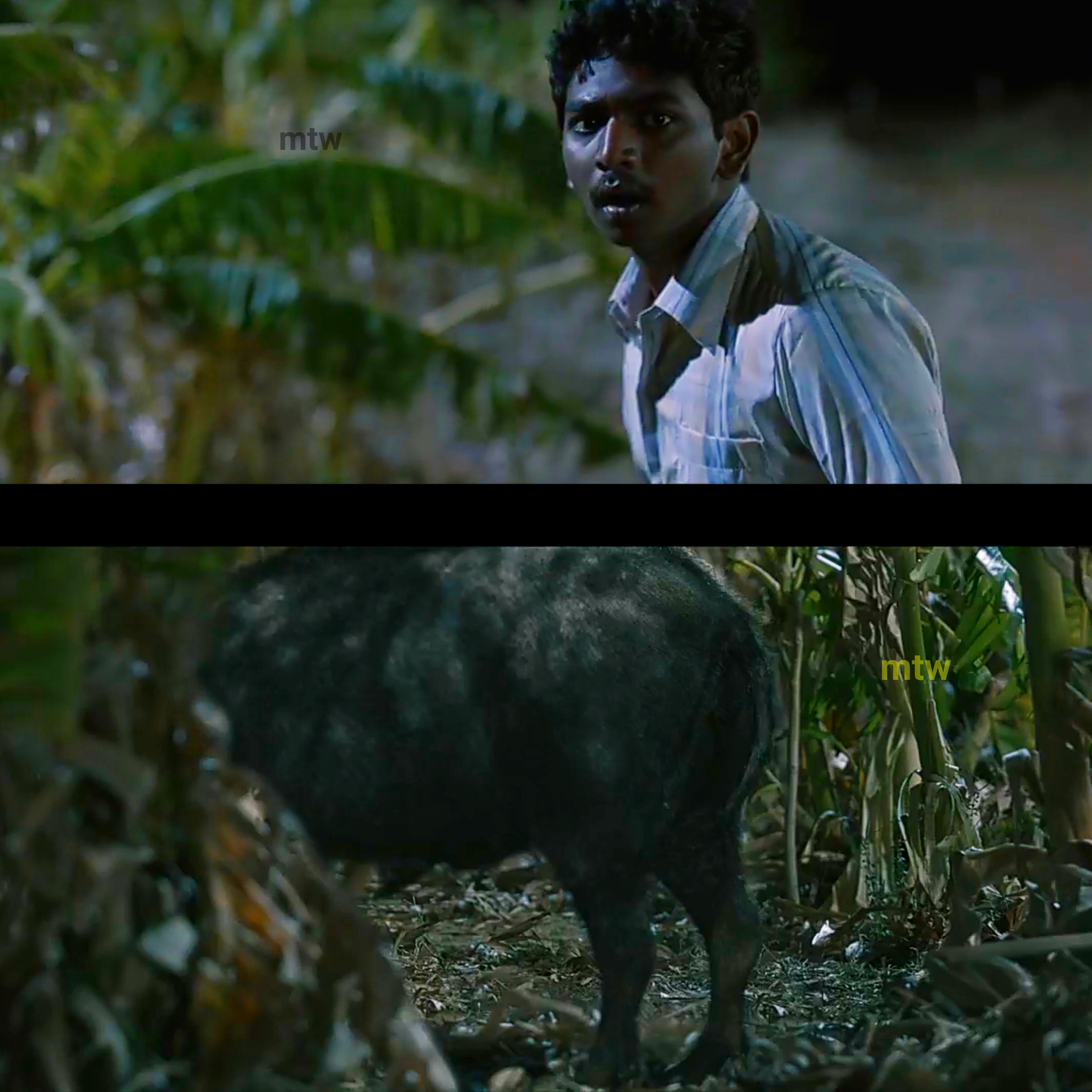 55+ Asuran Meme Template Hd