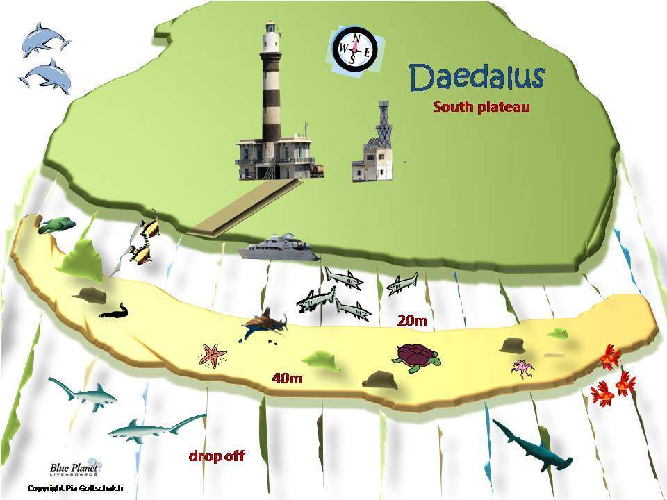 Scuba Dubi Du: Inmersiones #107, #108 y #109: Daedalus Reef