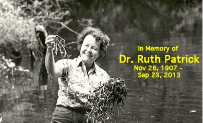 Fossils and Other Living Things: Patrick Principle(s)