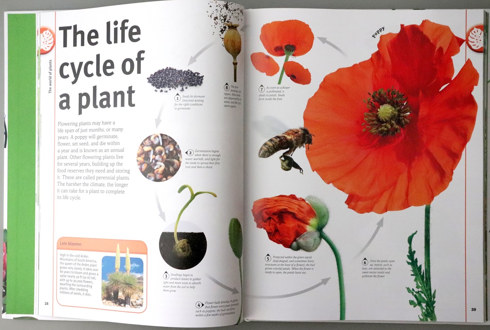 Create With Mom: Learning to appreciate what is around us and Giveaway