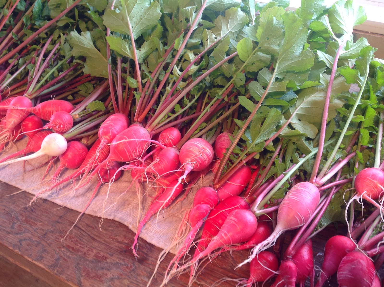 Newsletter: February 2014