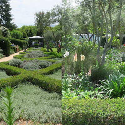 Constantia Open Gardens in October