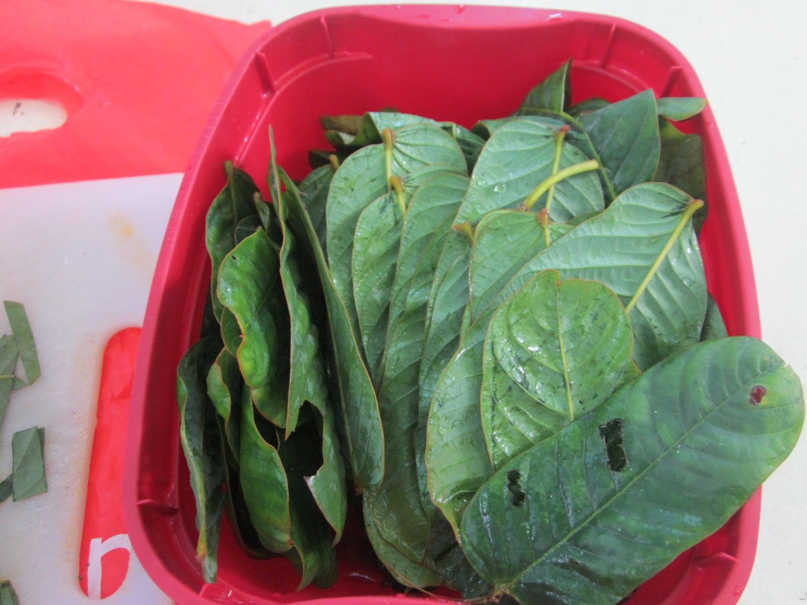 What's on my mind?: How to make Akapulko ointment