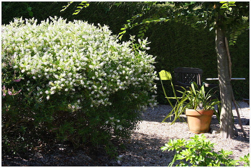 .: Julio, sol y buen tiempo en gran medida