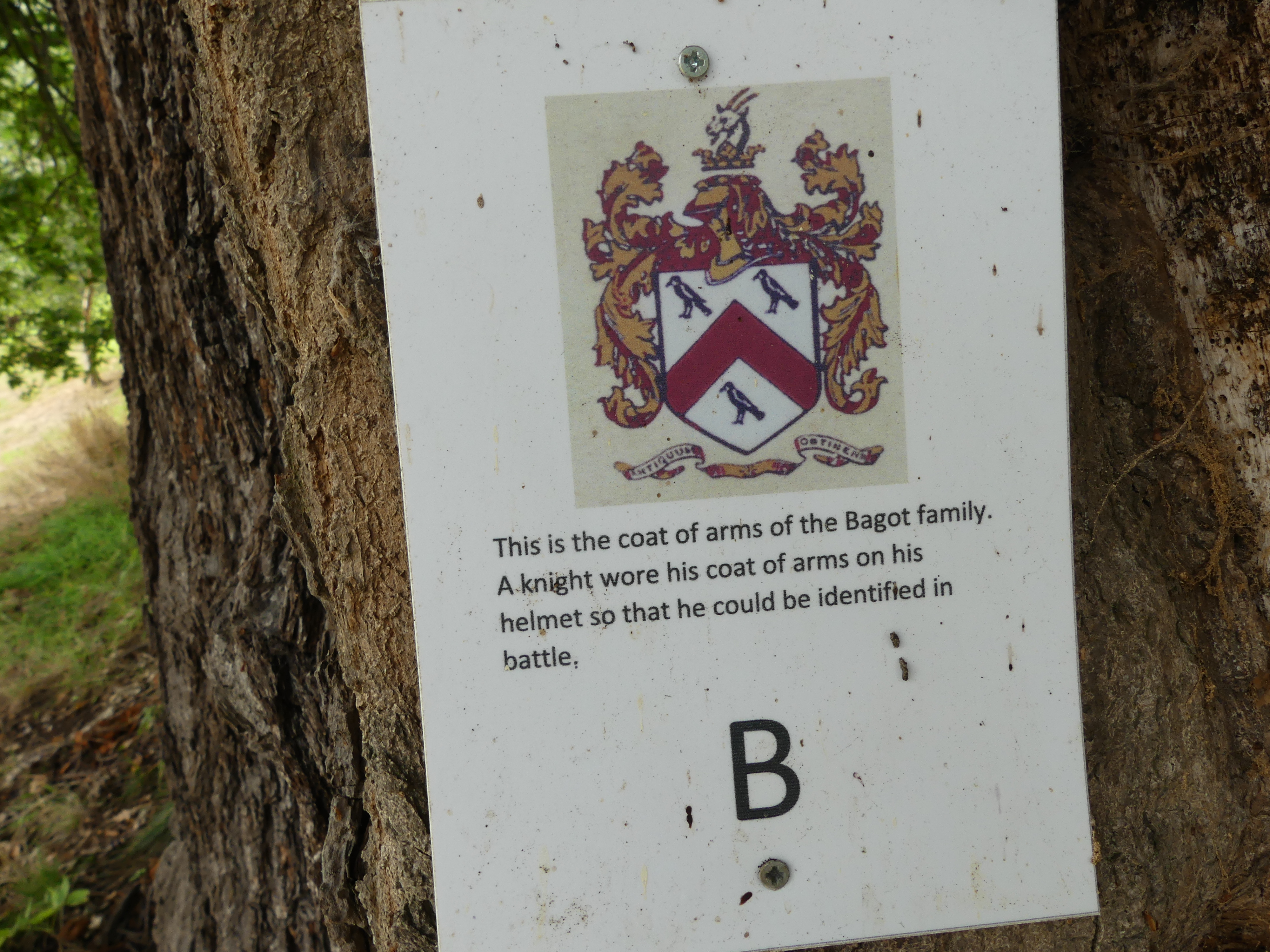 Ragged Robin's Nature Notes: Bagot's Castle, Baginton, Near Coventry ...