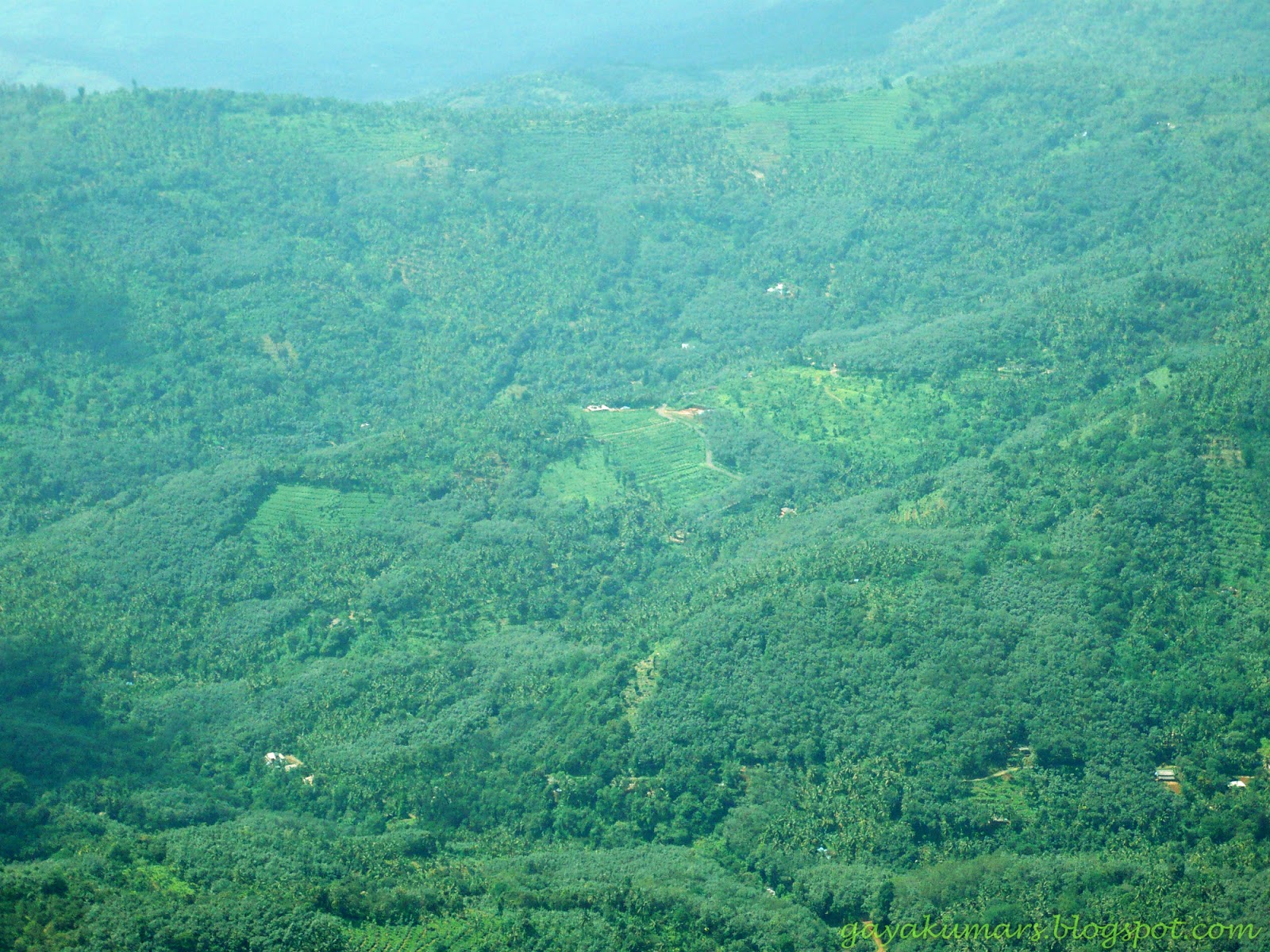 A Trip To PaithalMala: PaithalMala / Vaithalmala