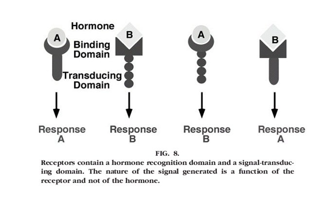 Physiology Open: Integrated endocrinology :Concepts