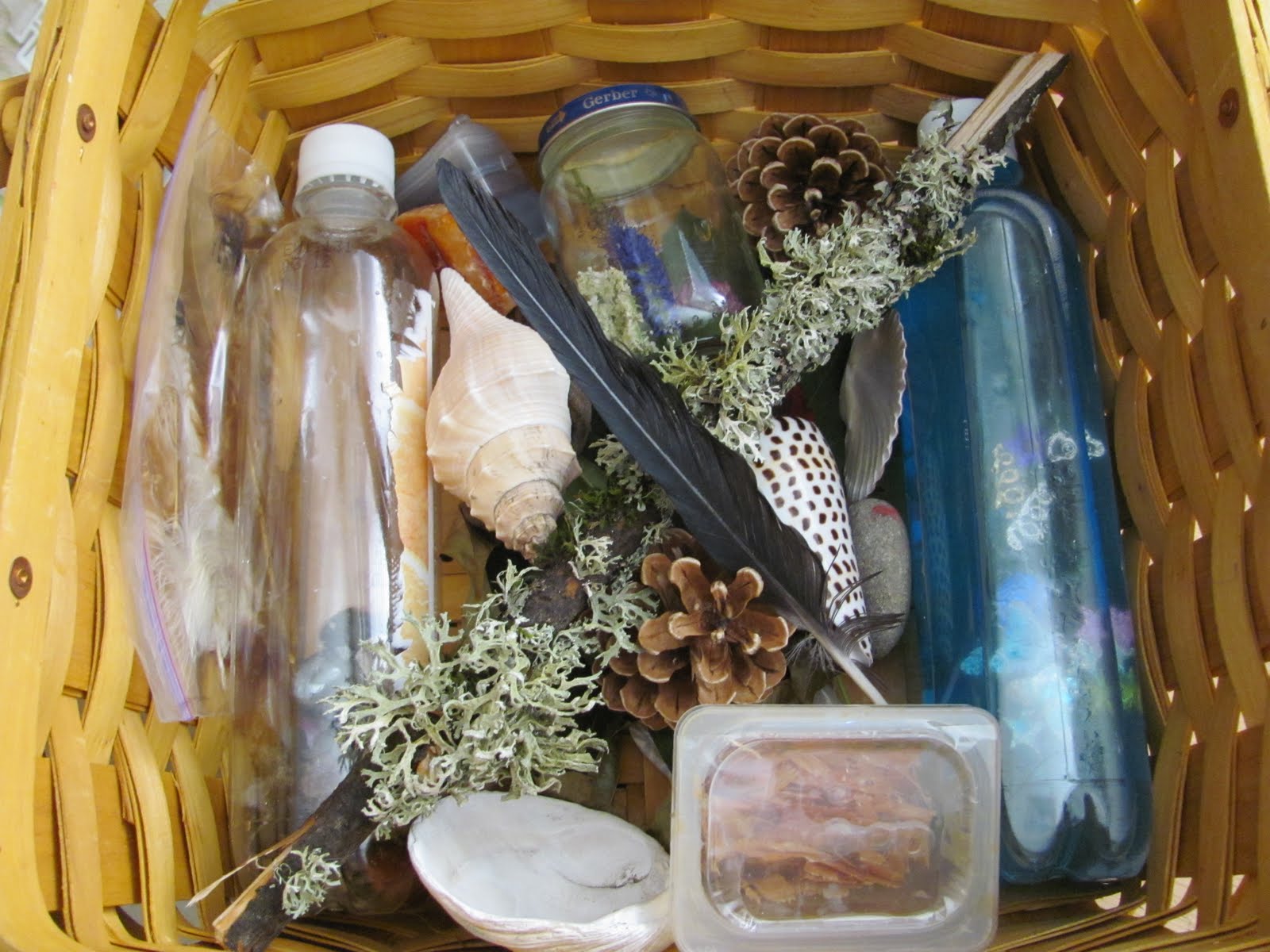 Life In The Unknown: Nature Tot Sensory Basket