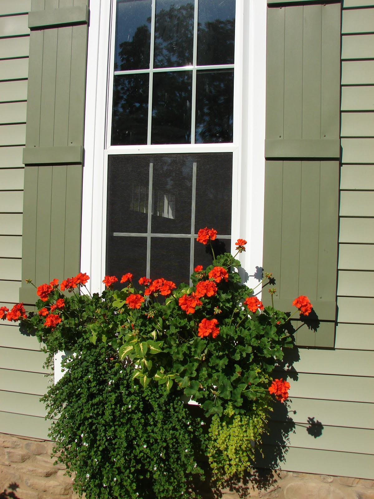 Cobblestone Farms: Greenery...