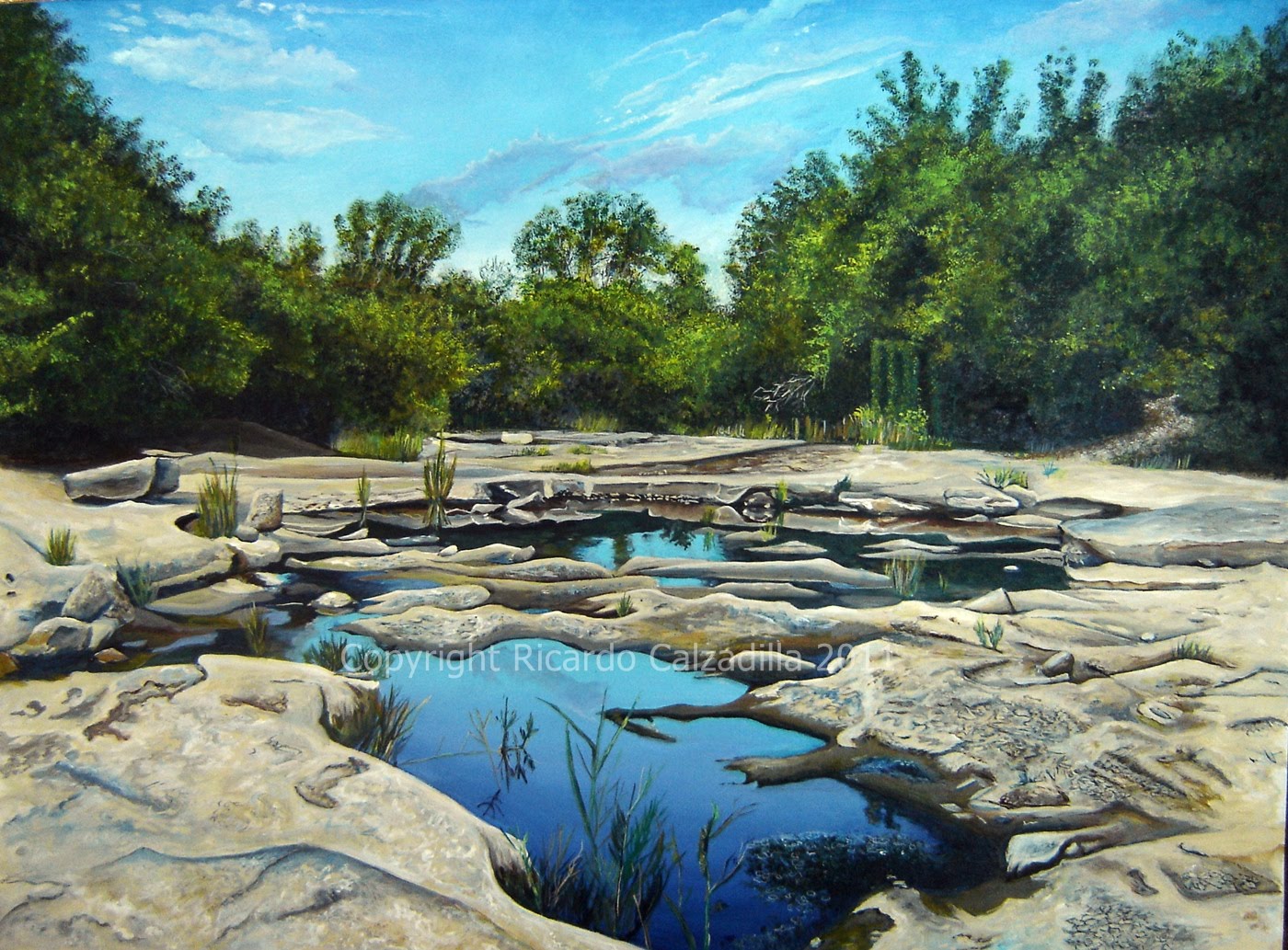 Fine Art Paintings, Austin, Texas, Ricardo Calzadilla: Barton Creek ...