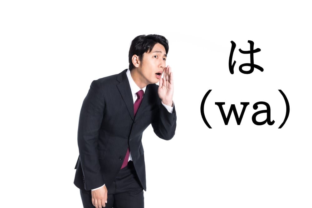 Lingual Ninja! - Japanese Lessons Online: - Japanese grammar