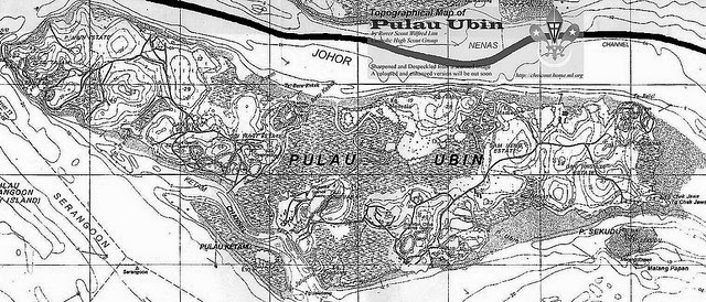Restore Ubin Mangroves (R.U.M.) Initiative: Maps
