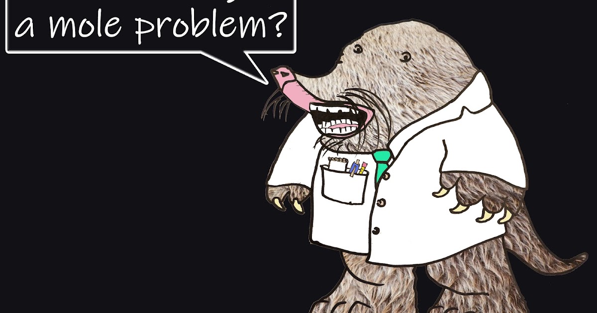 My Science Toolbox: Teaching Students about the Mole- Made Easy!!