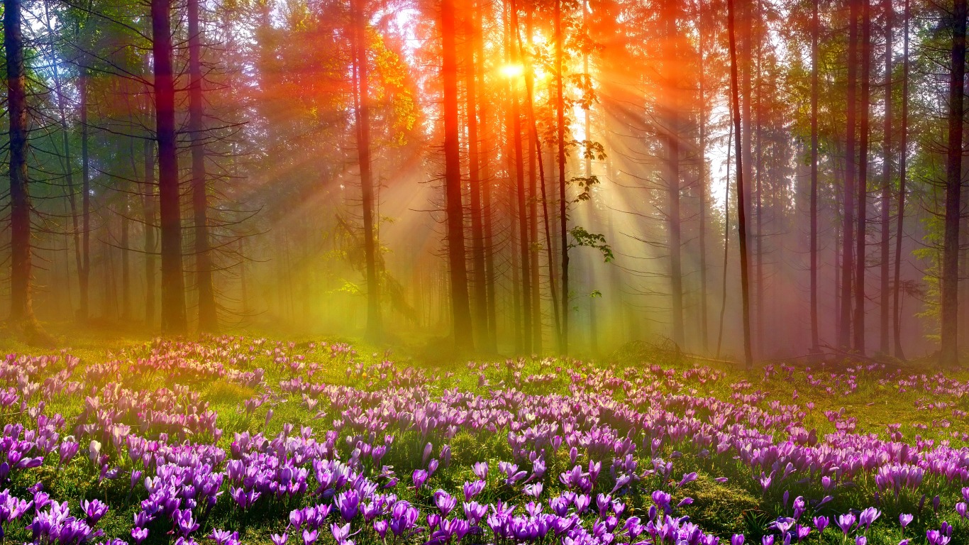 Cele 7 Flăcări ale Lui Dumnezeu: Inundați Pământul cu Flacăra Radiantă ...