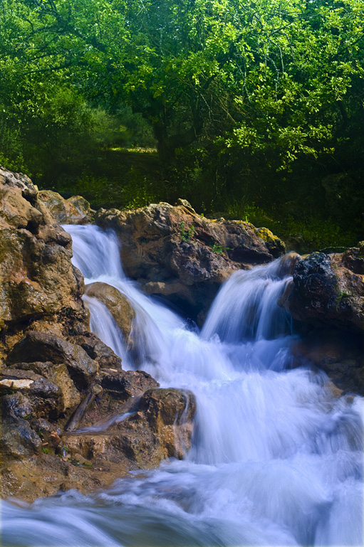 Land of Israel: List of Forests in Israel